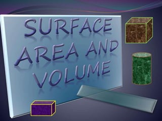 Surface area and volume .pptx
