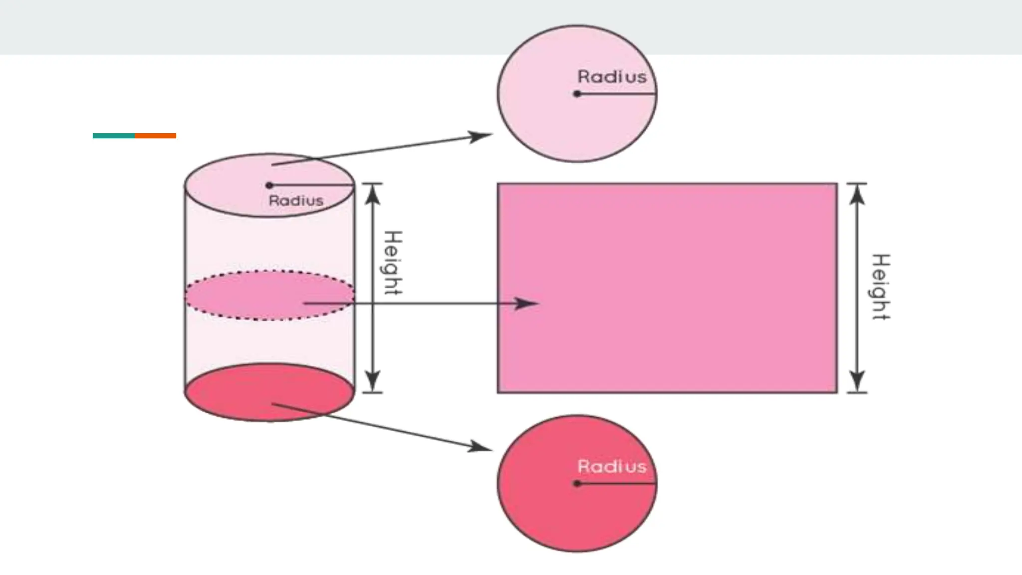 Surface Area of a Right Circular Cylinder.pptx
