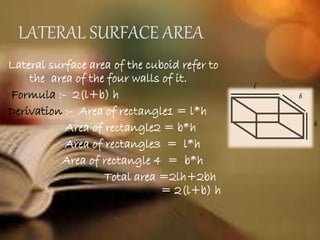Surface areas and volume | PPT