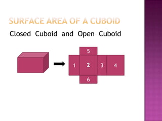 Surface areas and volume | PPTX