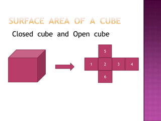 Surface areas and volume | PPTX