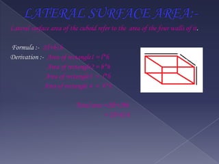 Surface areas and volumes ppt | PPTX