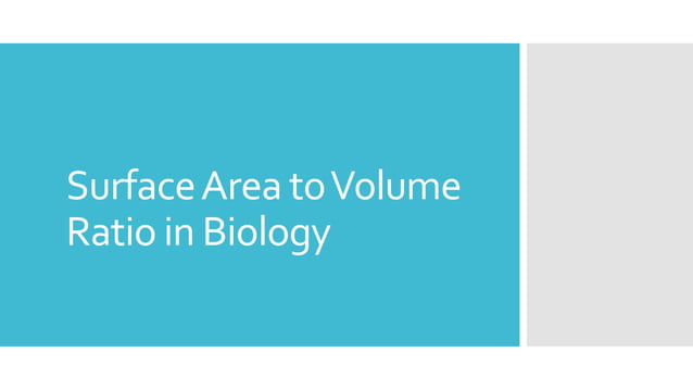 Surface area to volume ratio in biology powerpoint | PPTX