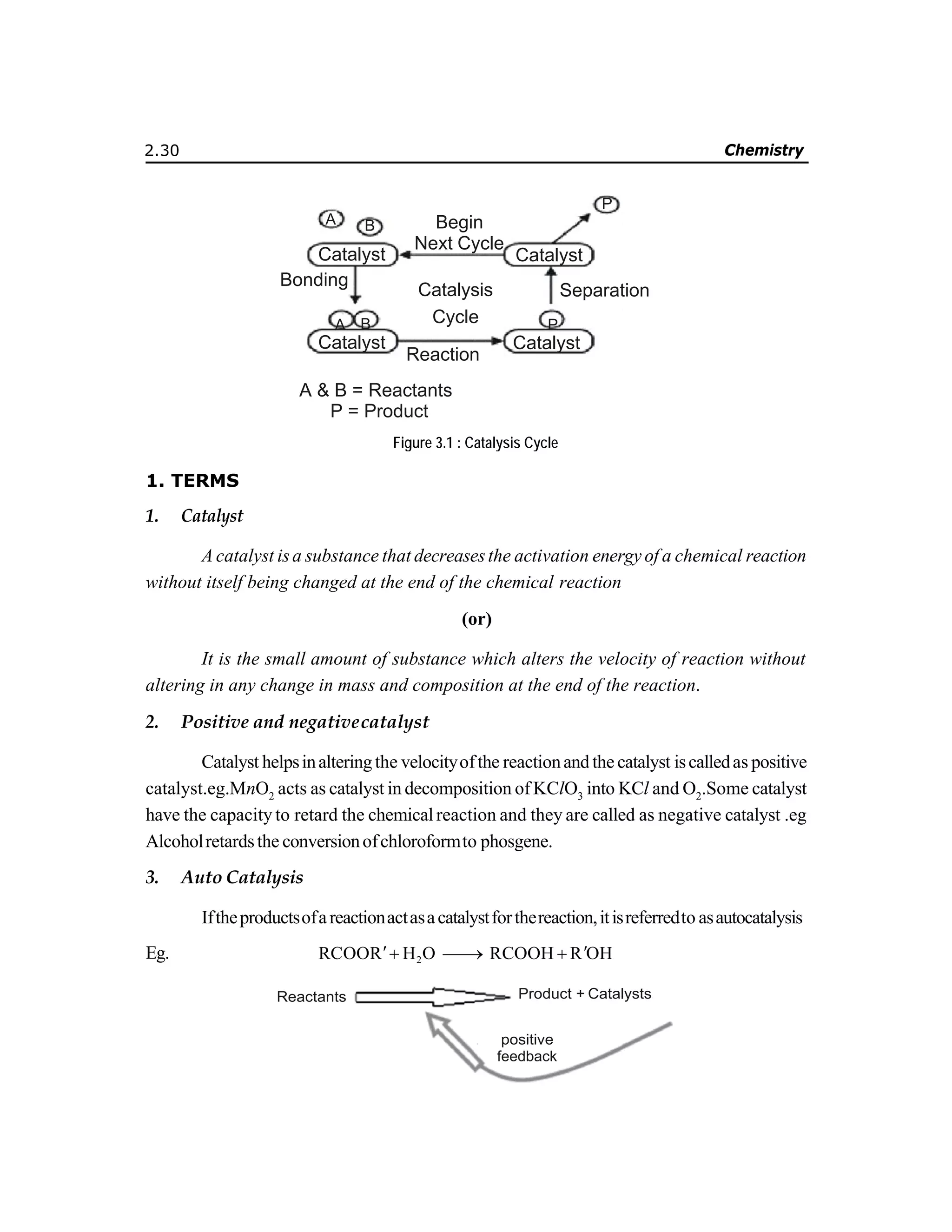Surface chemistry& catalysis | PDF