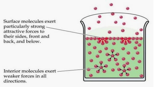 Surface Chemistry ppt.pptx
