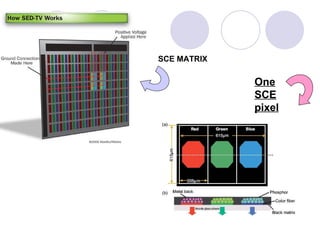 Display Surface Conduction Electron Emitter