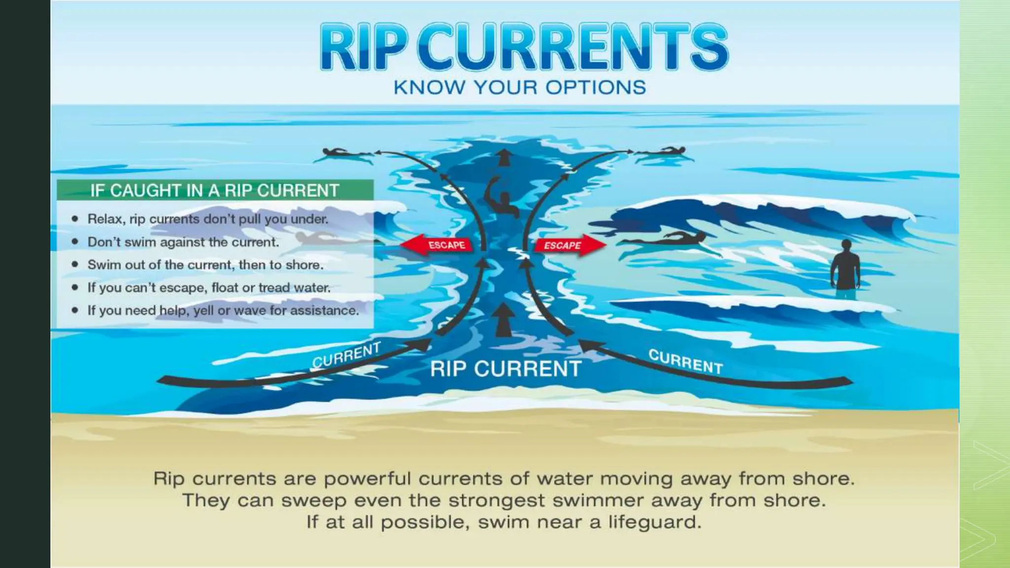 Marine Bio Ocean Surface Currents Pptx