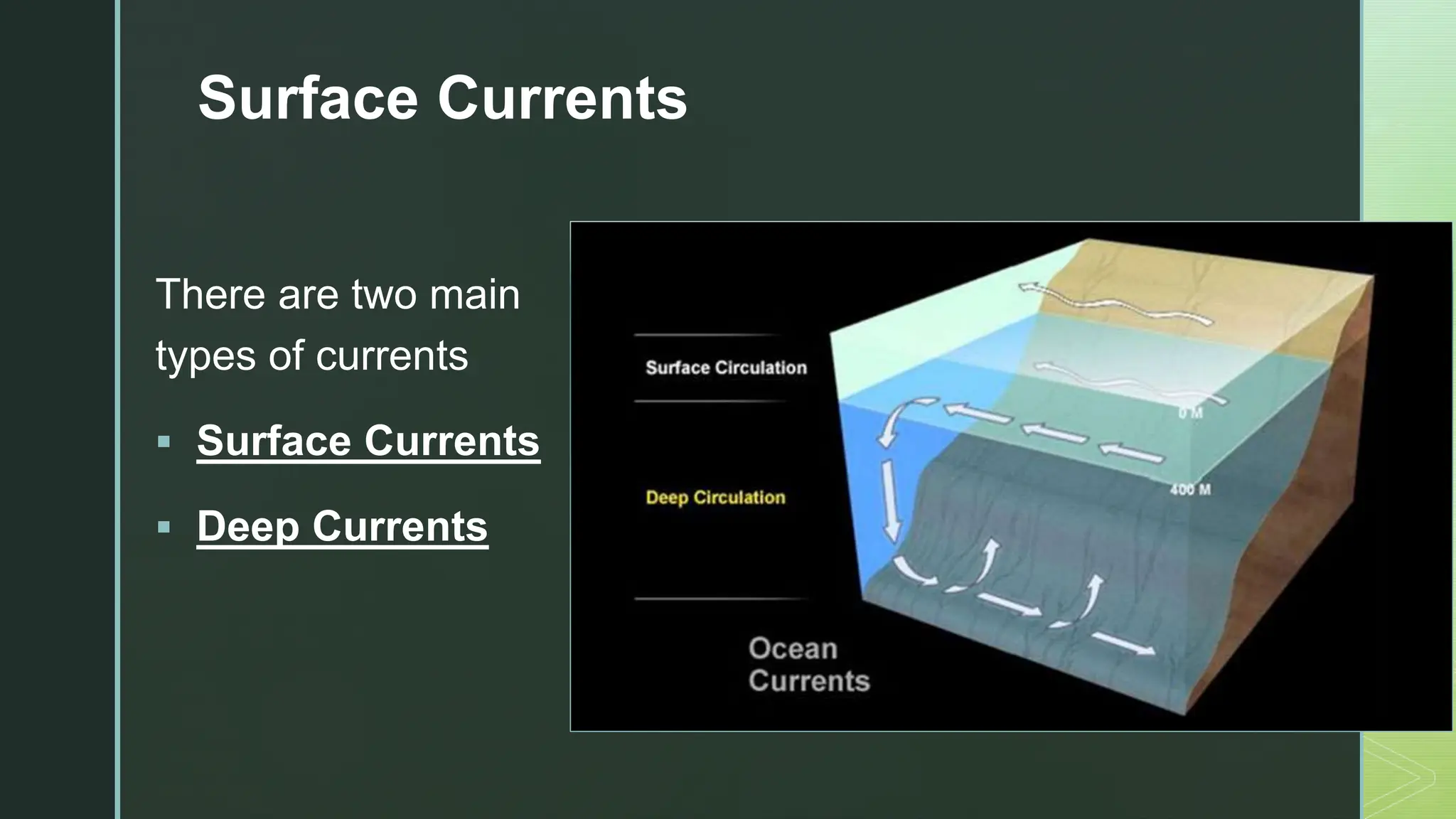Marine Bio - Ocean Surface Currents.pptx