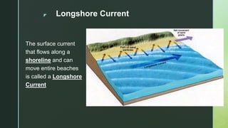 Marine Bio - Ocean Surface Currents.pptx