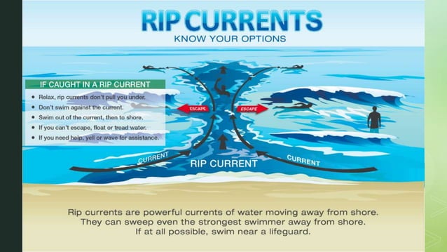 Marine Bio - Ocean Surface Currents.pptx