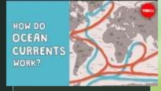 Marine Bio - Ocean Surface Currents.pptx