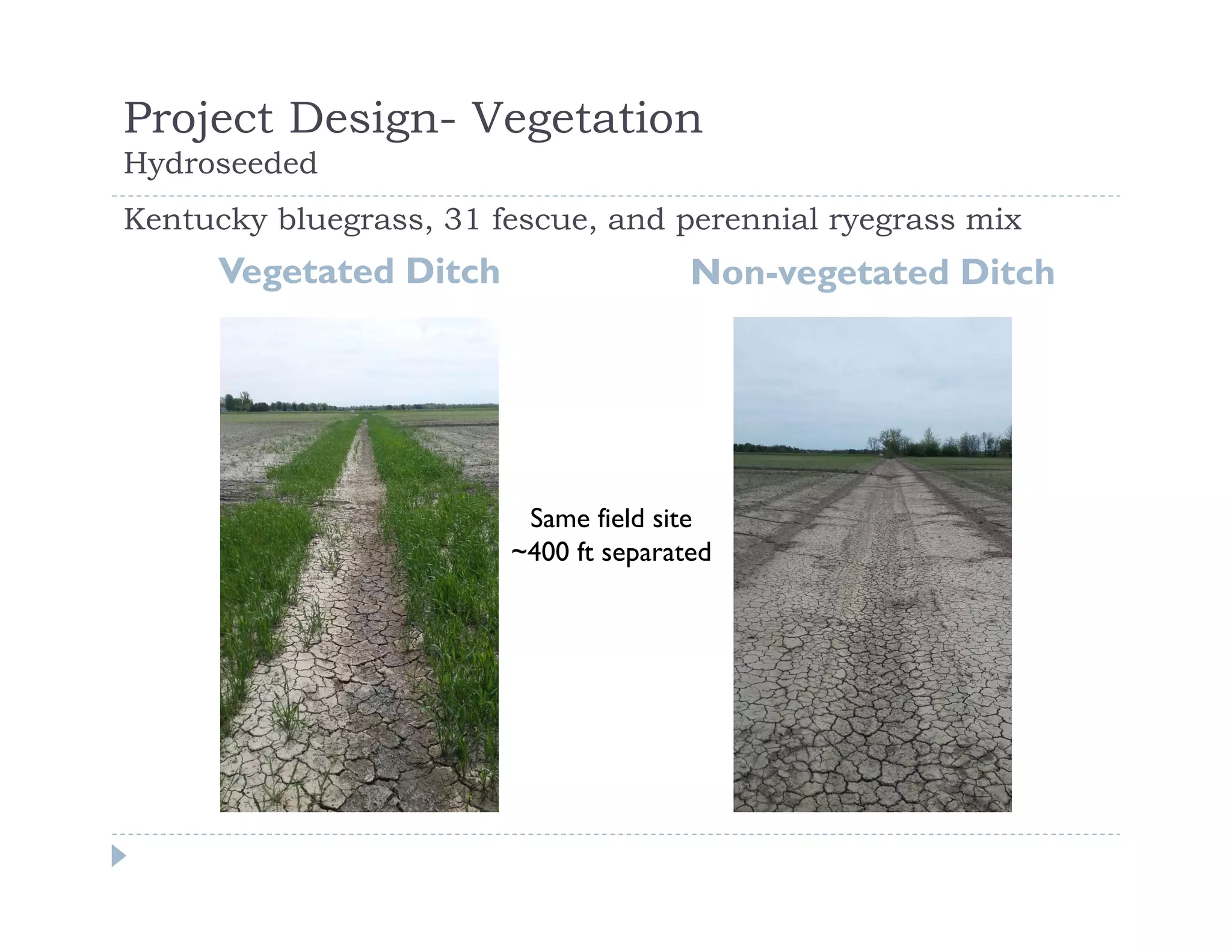 Surface ditch vegetation lake erie watershed miller | PDF