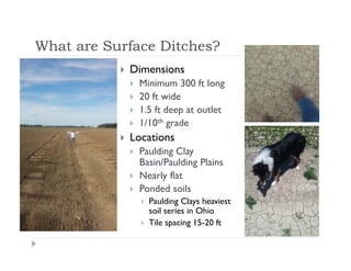 Surface ditch vegetation lake erie watershed miller | PPT