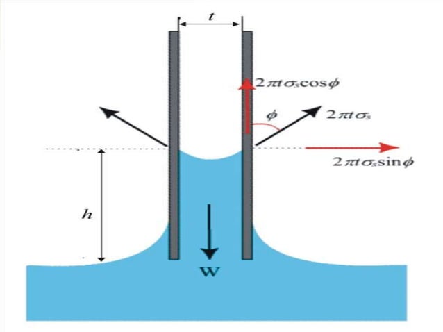 SURFACE ENERGY.pptx | Chemistry | Science