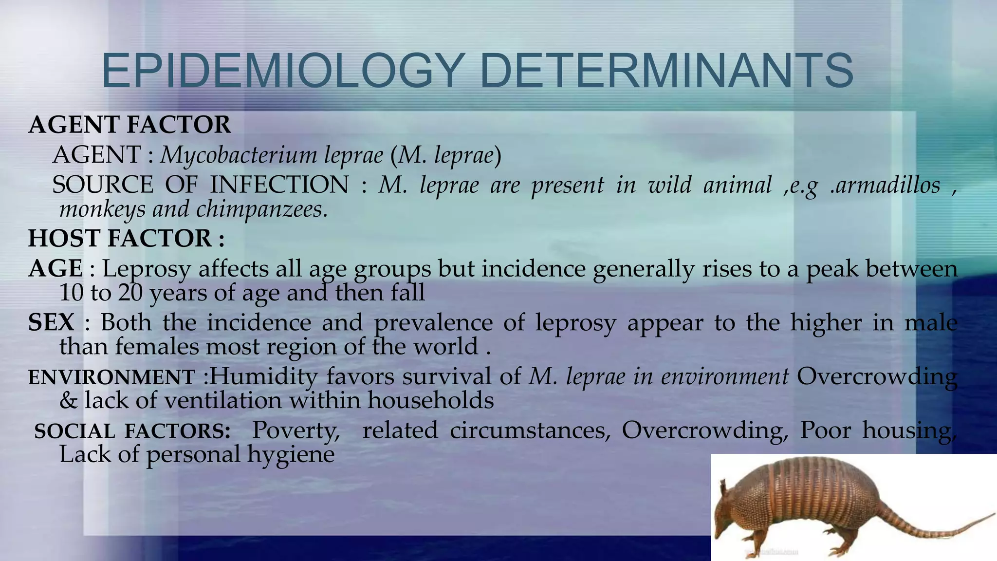 Surface infection | PPTX
