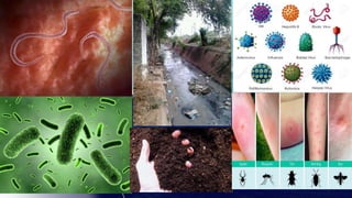 Surface infection | PPTX