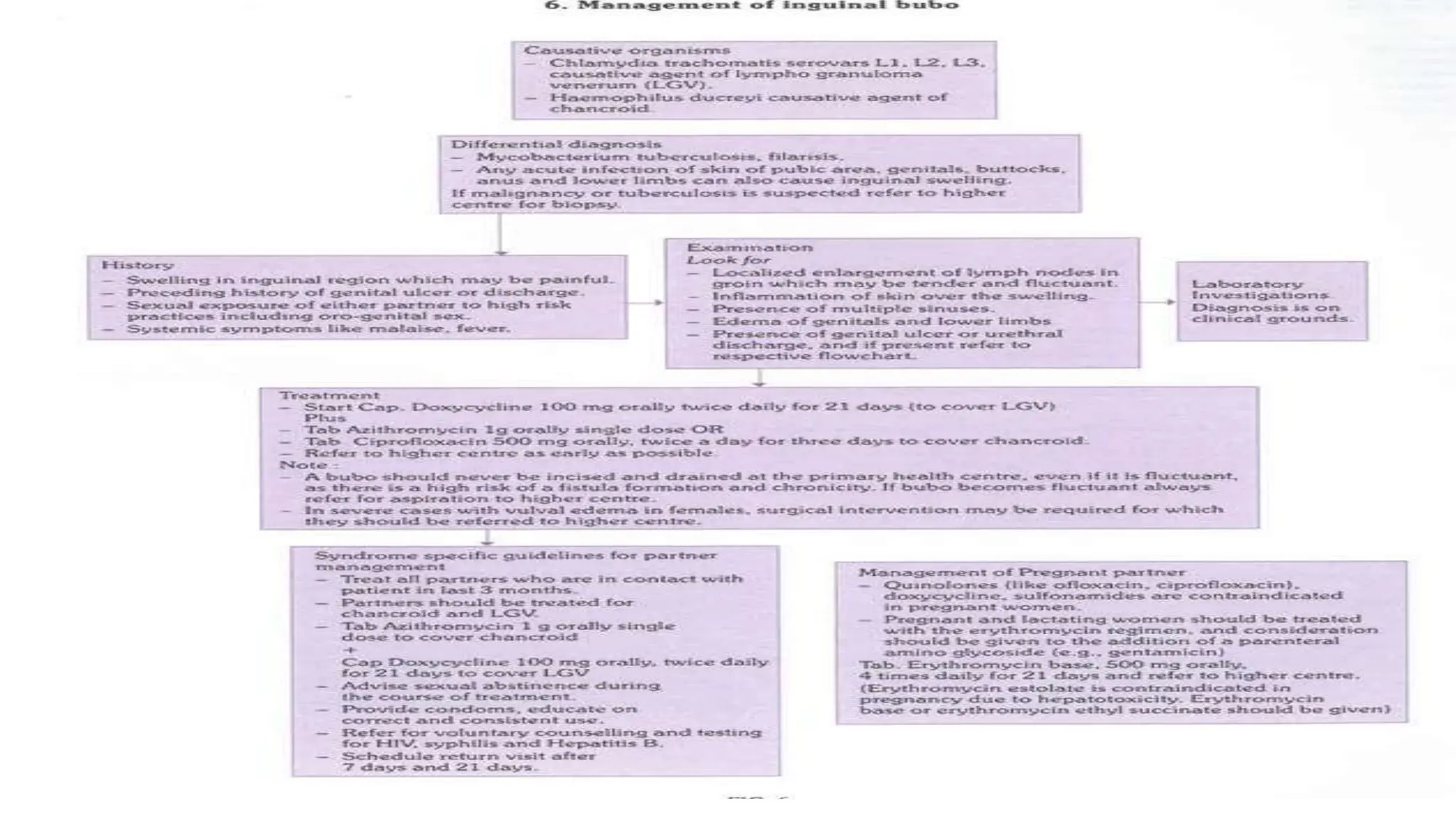 surface infections STD's /RTI's diseases.pptx