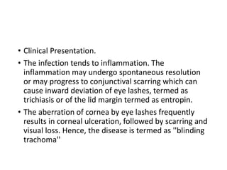 Surface Infections4-WPS Office.pptx