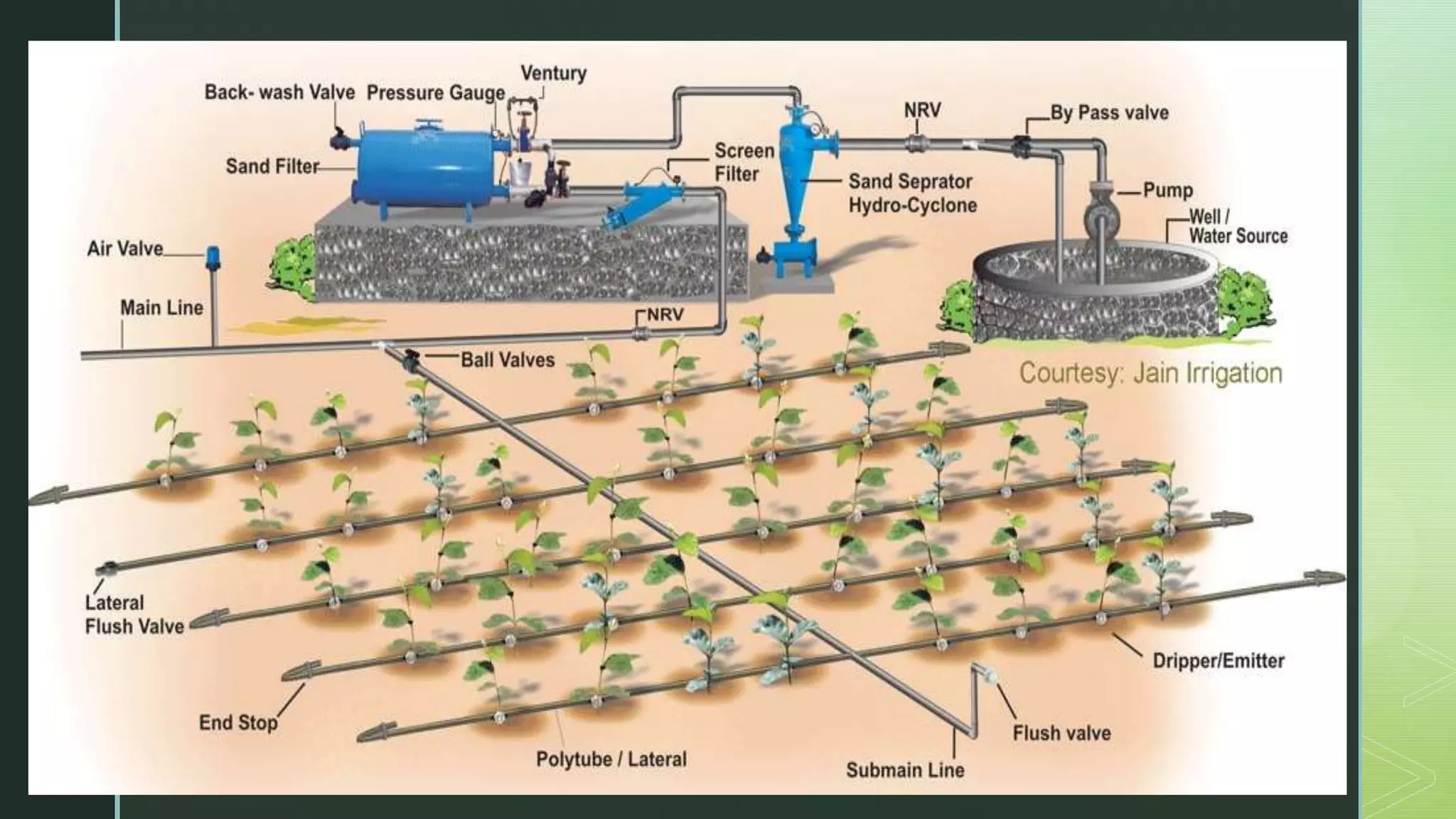 Surface irrigation methods Telugu ppt | PPTX