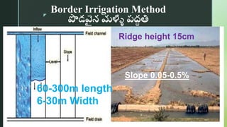 Surface irrigation methods | PPTX
