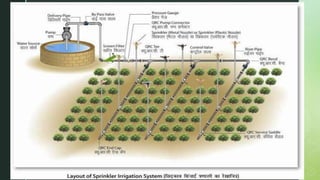 Surface irrigation methods | PPTX