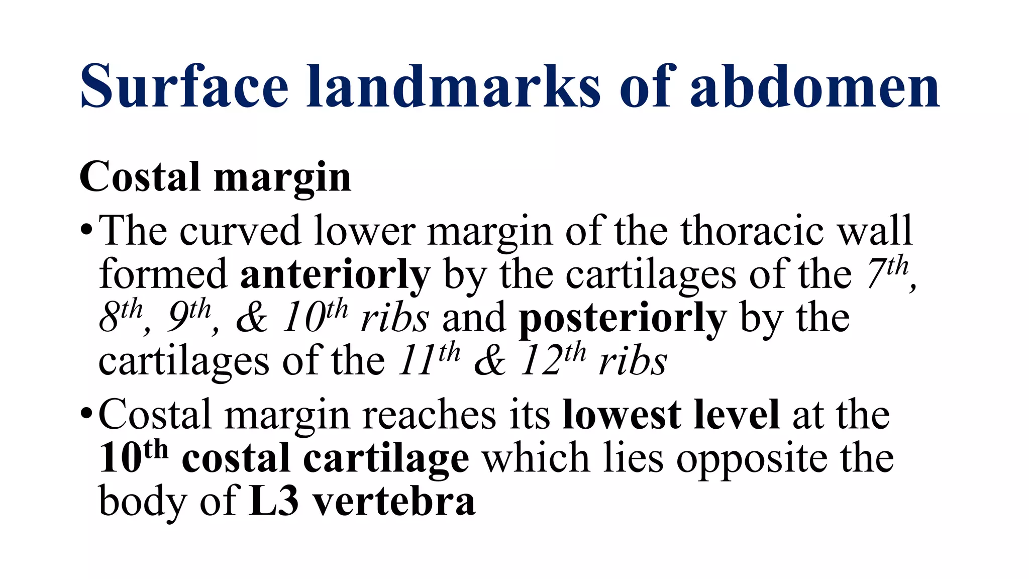 Surface landmark of the abdomen | PDF