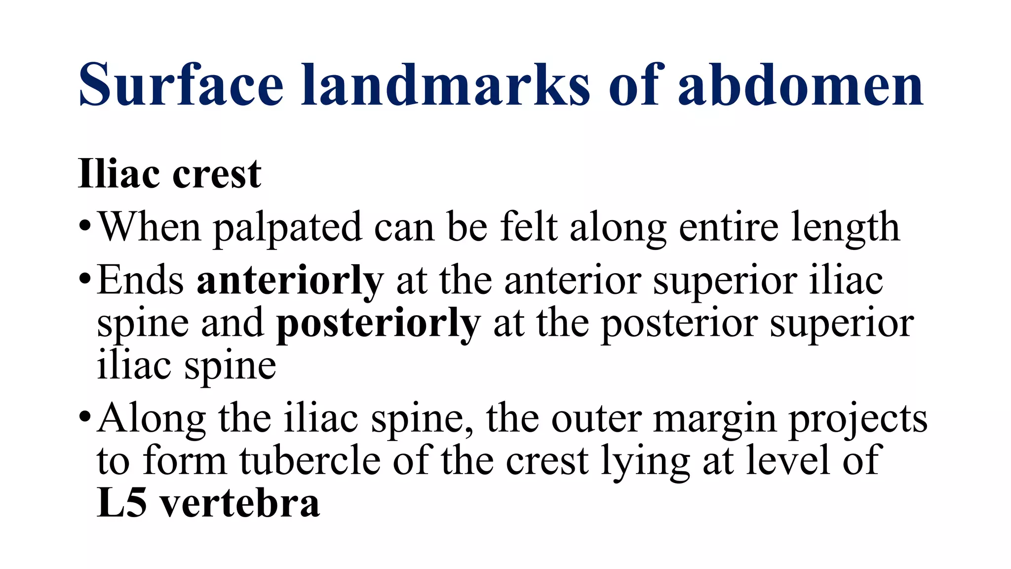 Surface landmark of the abdomen | PDF