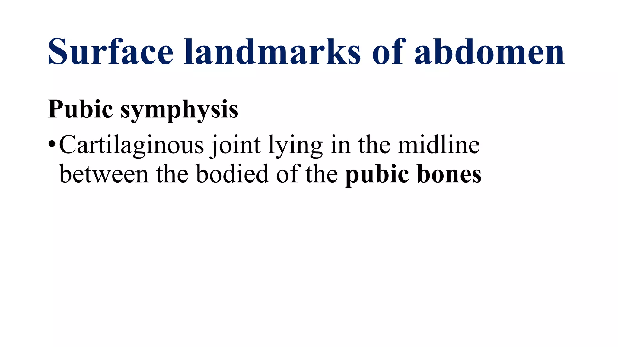 Surface landmark of the abdomen | PDF