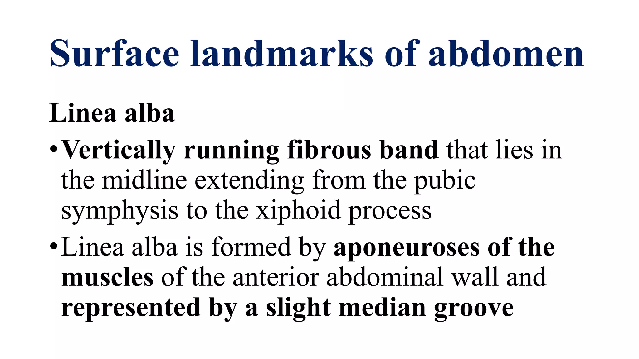 Surface landmark of the abdomen | PDF