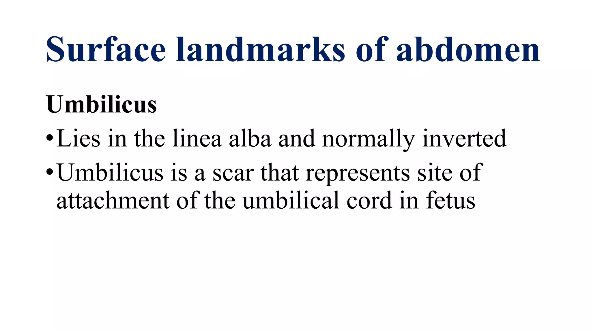 Surface landmark of the abdomen | PDF