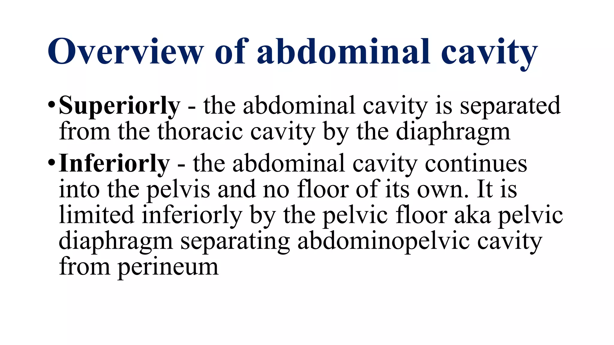 Surface landmark of the abdomen | PDF