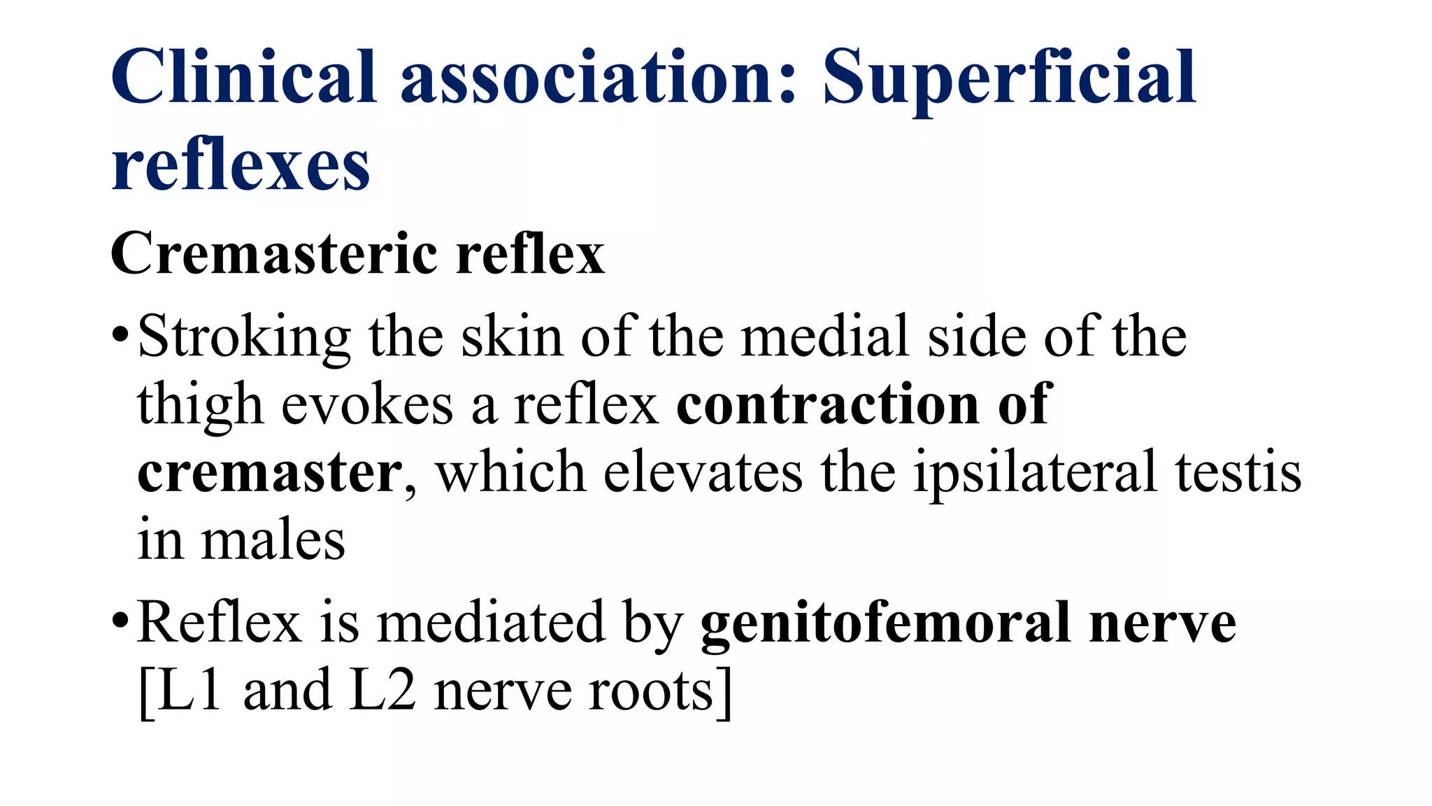Surface landmark of the abdomen | PDF