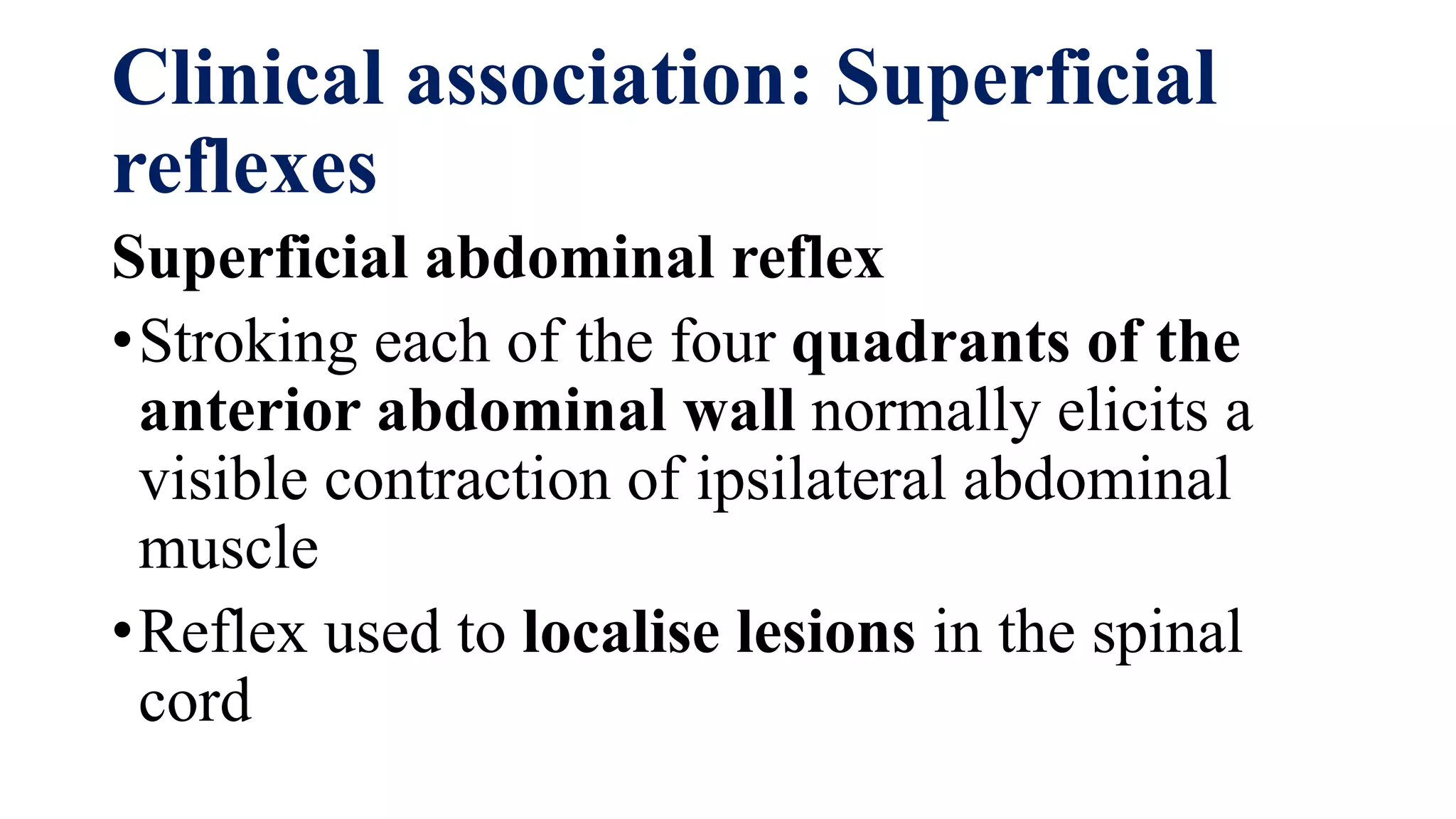 Surface landmark of the abdomen | PDF