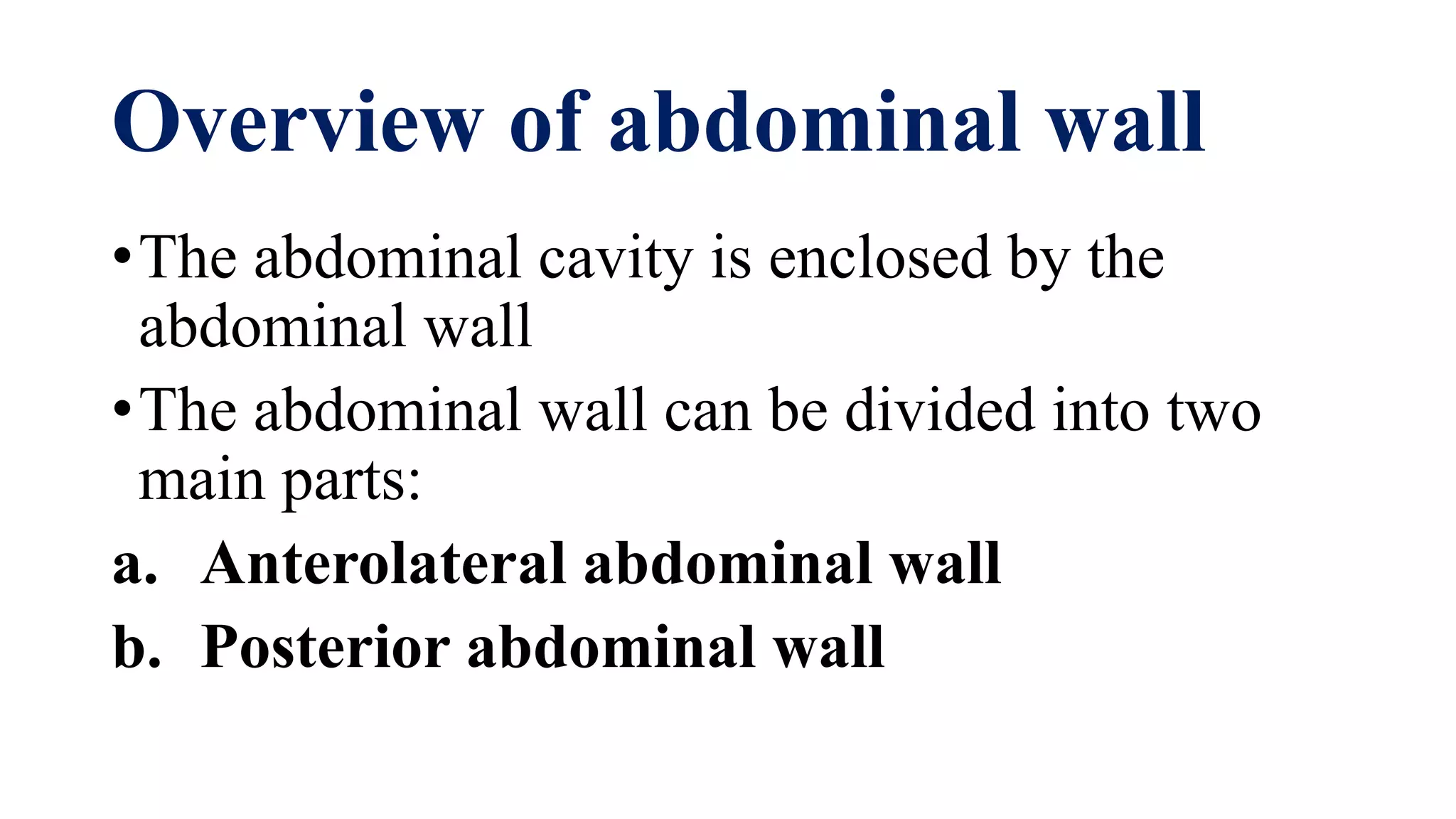 Surface landmark of the abdomen | PDF