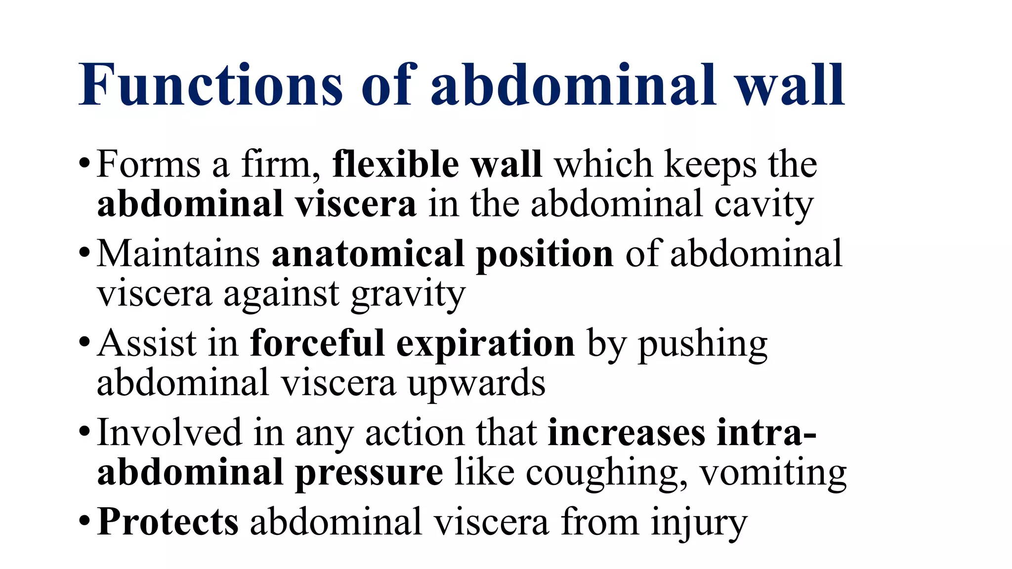 Surface landmark of the abdomen | PDF
