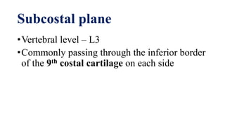 Surface landmark of the abdomen | PDF