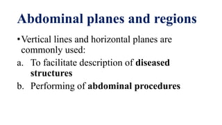 Surface landmark of the abdomen | PDF