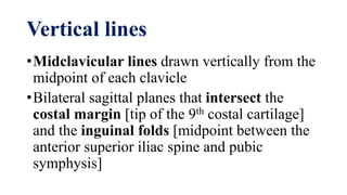 Surface landmark of the abdomen | PDF