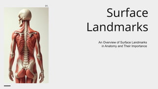 Surface Landmarks.pptx pdf surface Landmarks | PPT