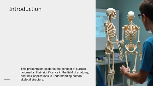 Surface Landmarks.pptx pdf surface Landmarks | PPT