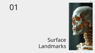Surface Landmarks.pptx pdf surface Landmarks | PPT
