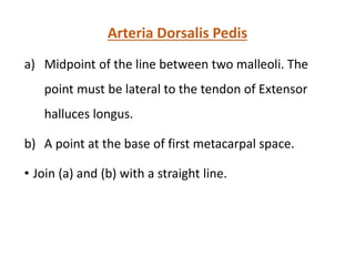 surface marking - inferior extremity.pptx