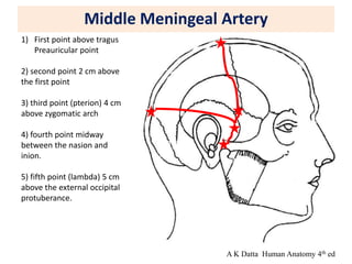 Surface marking Head Neck.ppt