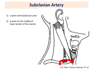 Surface marking Head Neck.ppt