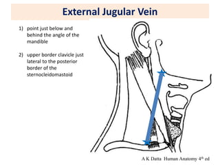 Surface marking Head Neck.ppt