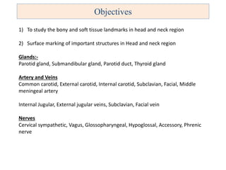 Surface marking Head Neck.ppt
