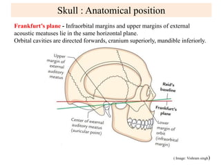 Surface marking Head Neck.ppt