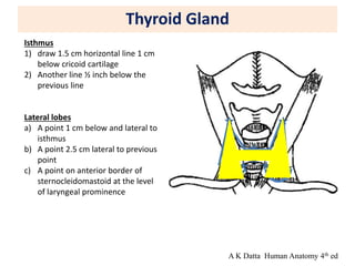 Surface marking Head Neck.ppt