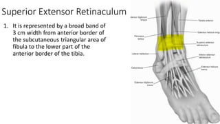 Surface marking lower limb | PPTX