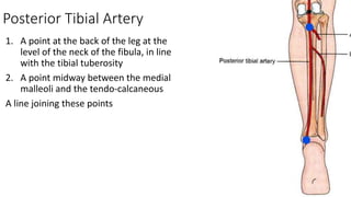 Surface marking lower limb | PPTX